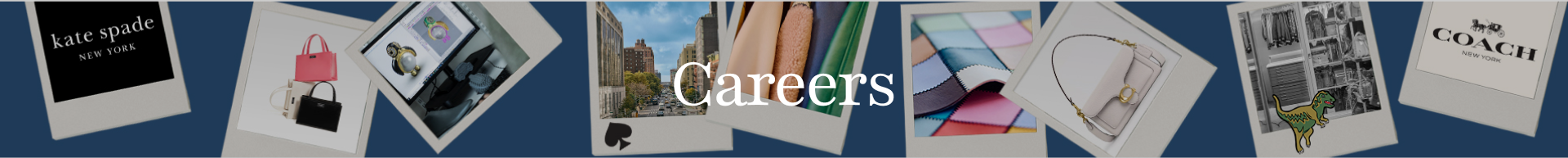Careers Home Search for Jobs